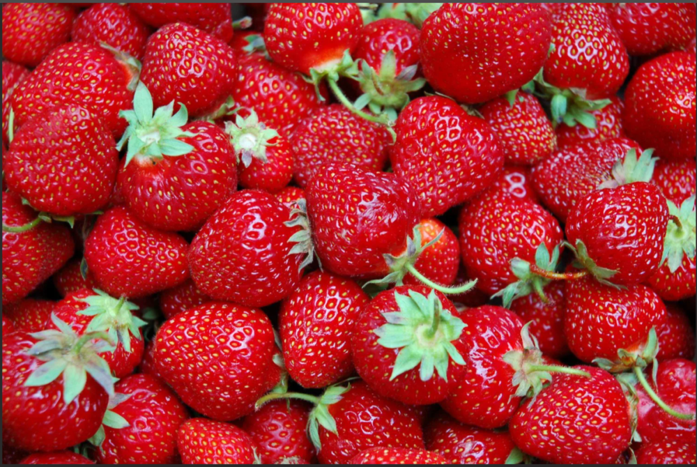 Wholesale Strawberries - Fresh Fruit Turkey Export Company
