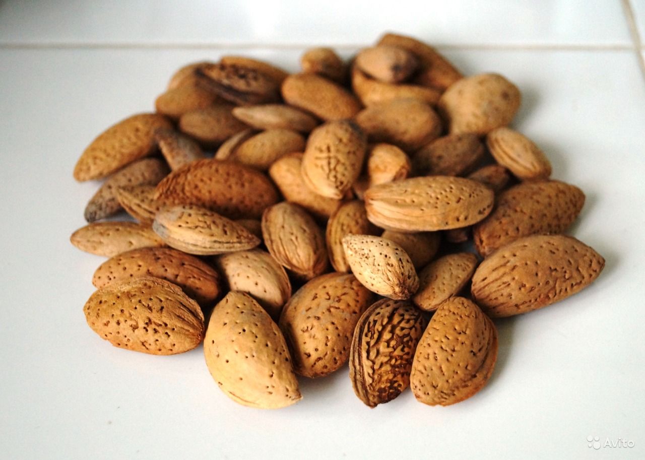 Wholesale Bitter Almonds - Fresh Fruit Turkey Export Company