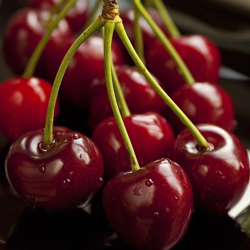 Sour Cherries Macar - Fresh Fruit Turkey Export Company From Turkey