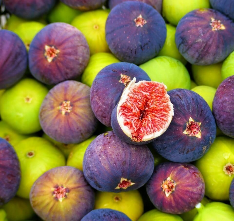 Wholesale Figs - Fresh Fruit Turkey Export Company