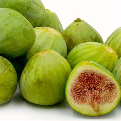 Sultan Selim Figs - Fresh Fruit Turkey Export Company From Turkey