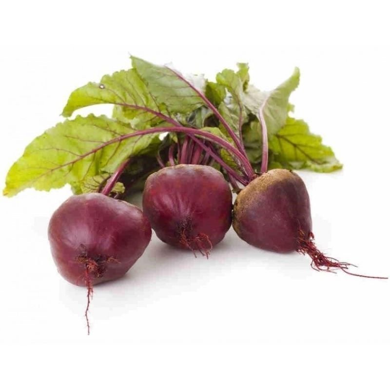 Bordeaux Beets - Fresh Fruit Turkey Export Company