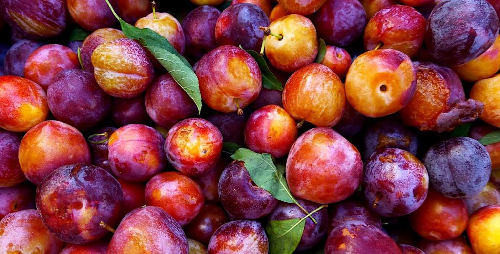 Wholesale Plums - Fresh Fruit Turkey Export Company