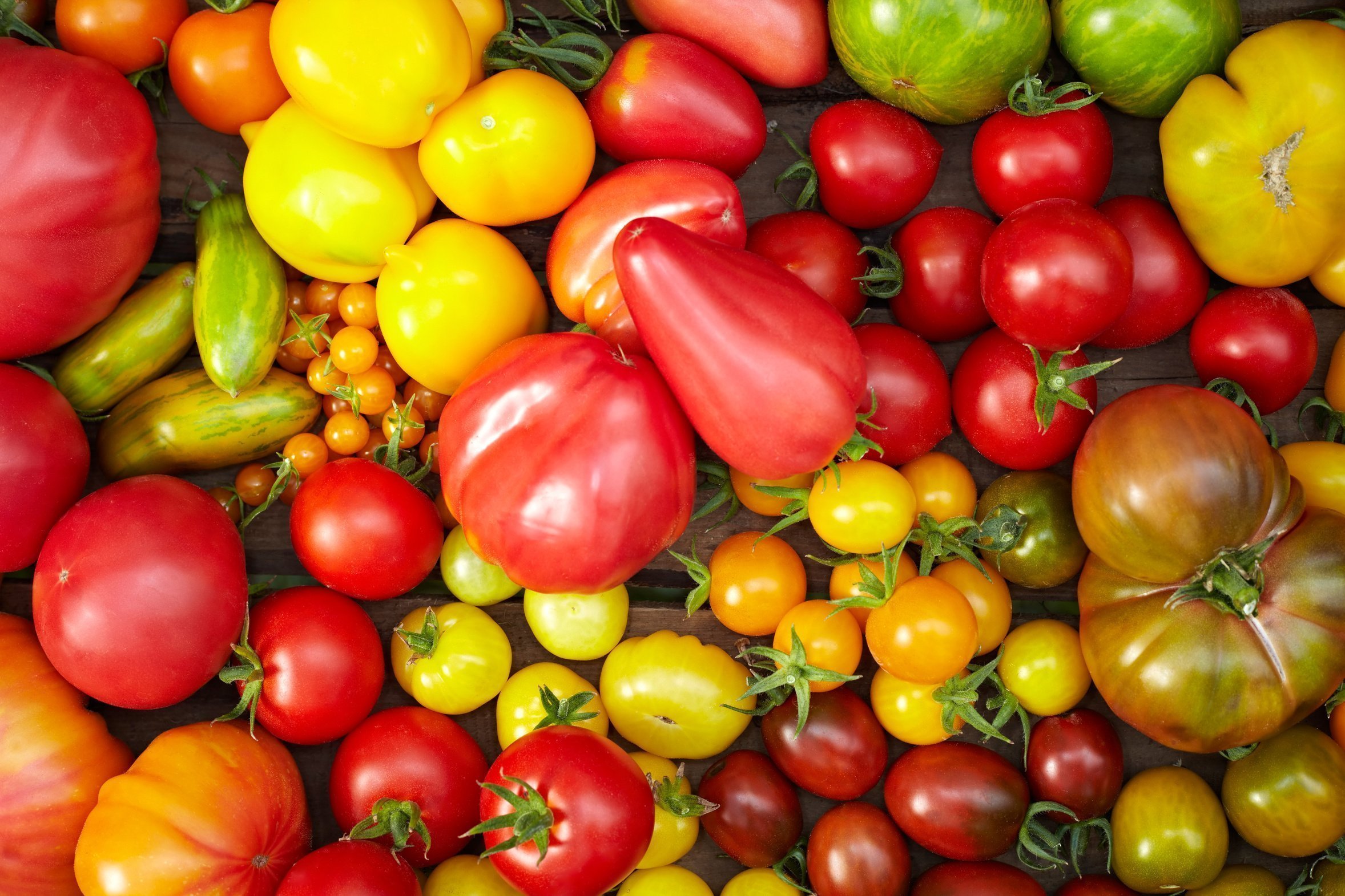 Wholesale Tomatoes - Fresh Fruit Turkey Export Company